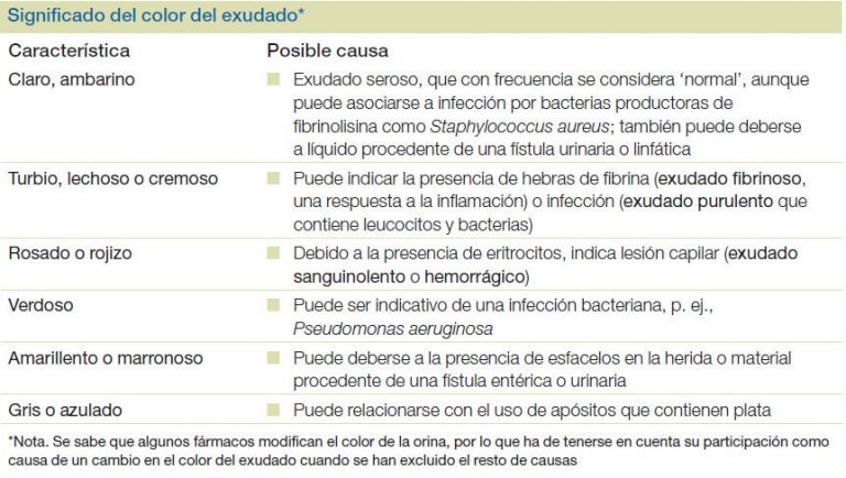 Preparación del lecho de la herida: EL TIME EN PRÁCTICA EN UPD ...